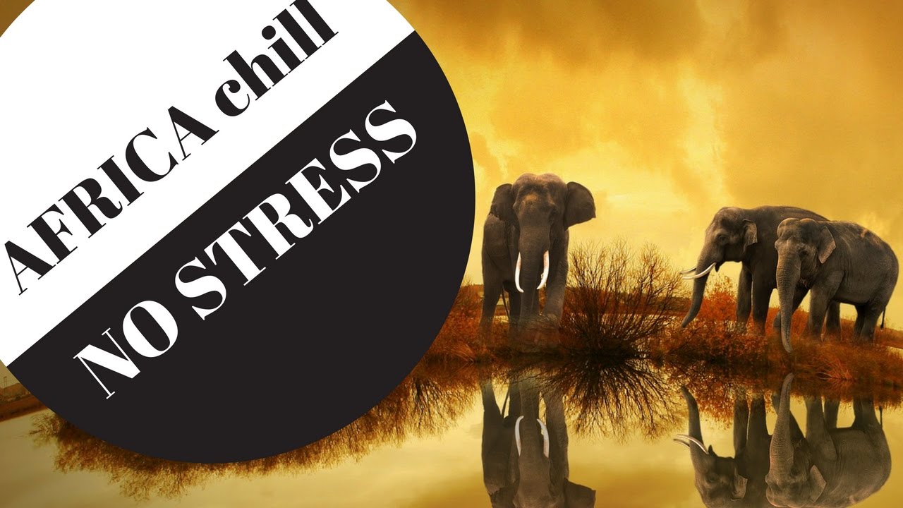 AFRICAN CHILL Stress Reliefe Music - relaxing African deep House music ...