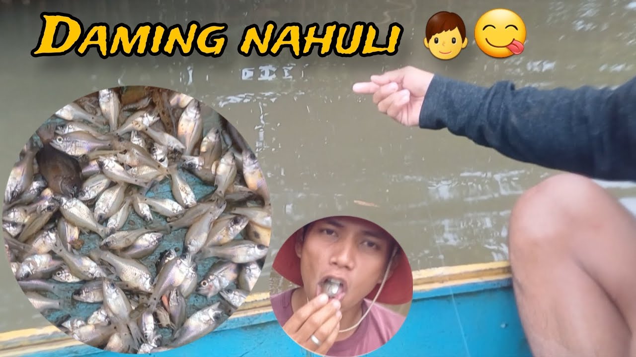 Catch and Eat fish🐟 part2, sarap kilawin 😋🌶 Ibis ang tawag in cebuano ...