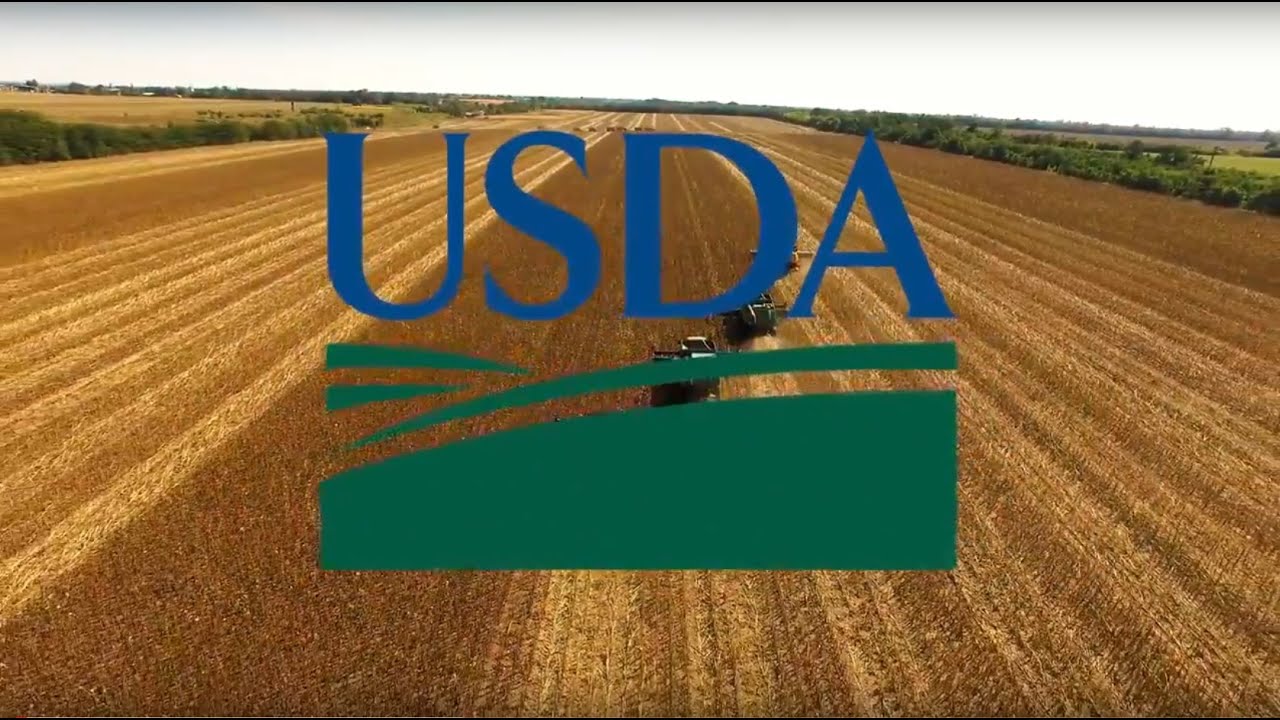 USDA Brazil - Institutional Video - YouTube