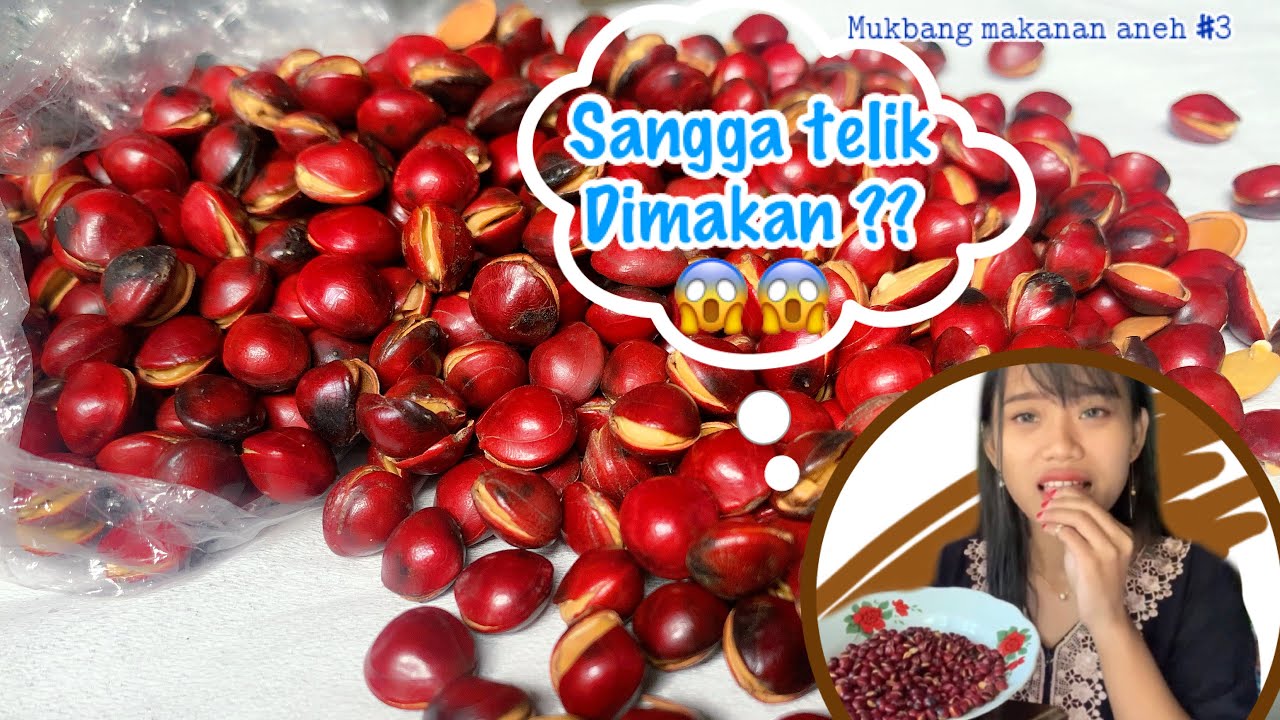 SANGGA TELIK DIMAKAN ?! | MUKBANG MAKANAN ANEH PART 3 - YouTube