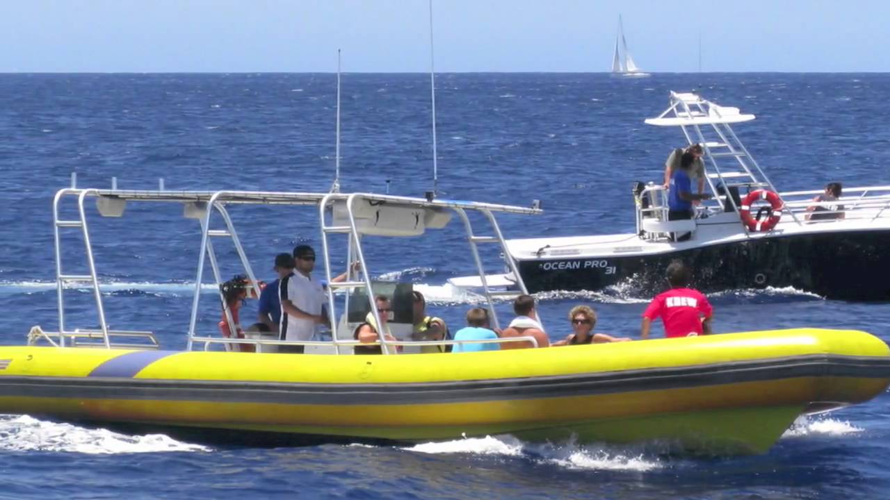 Lorrin Lee's KANDOO ISLAND. Hawaii. Israel IZ Kamakawiwo'ole. Waikiki ...