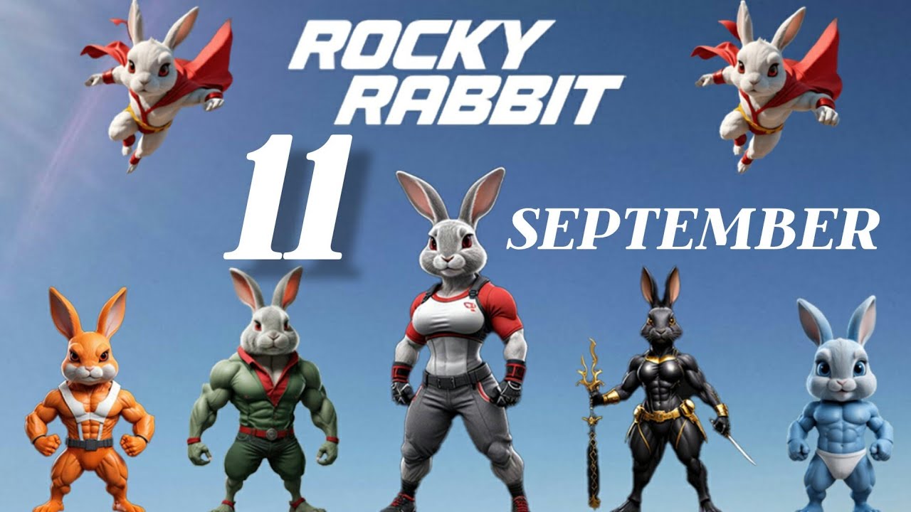 11 September Daily Combo of the Rocky Rabbit - YouTube