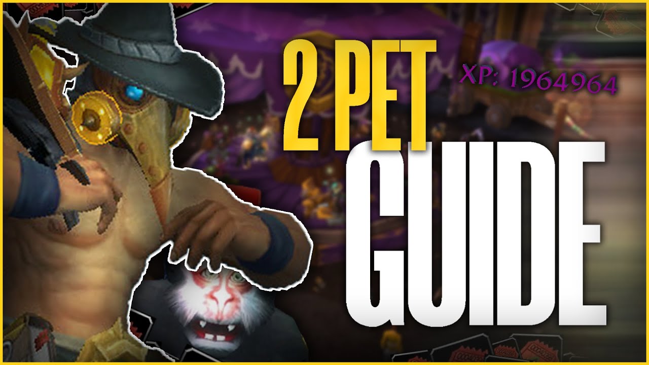 How to Beat JEREMY FEASEL with 2 PETS | Darkmoon Faire Guide - YouTube