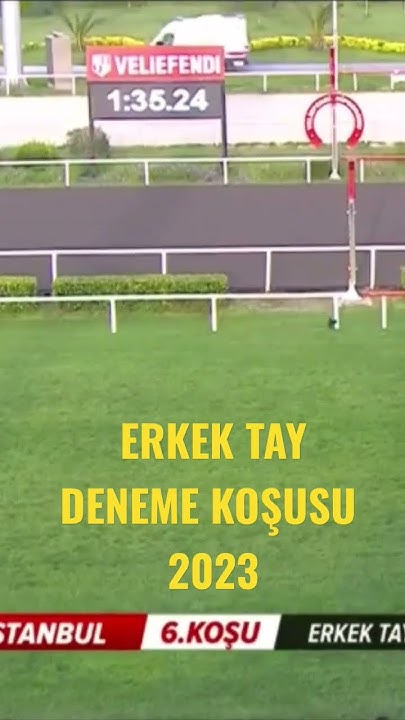 ERKEK TAY DENEME KOŞUSU 2023 - YouTube