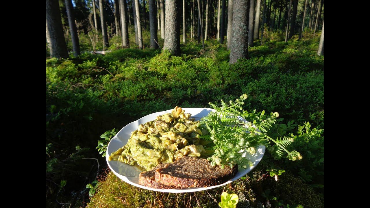 Pusdienās papardes - YouTube