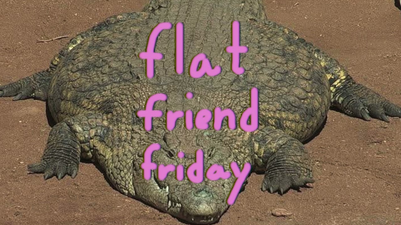 Flat Friend Friday - YouTube