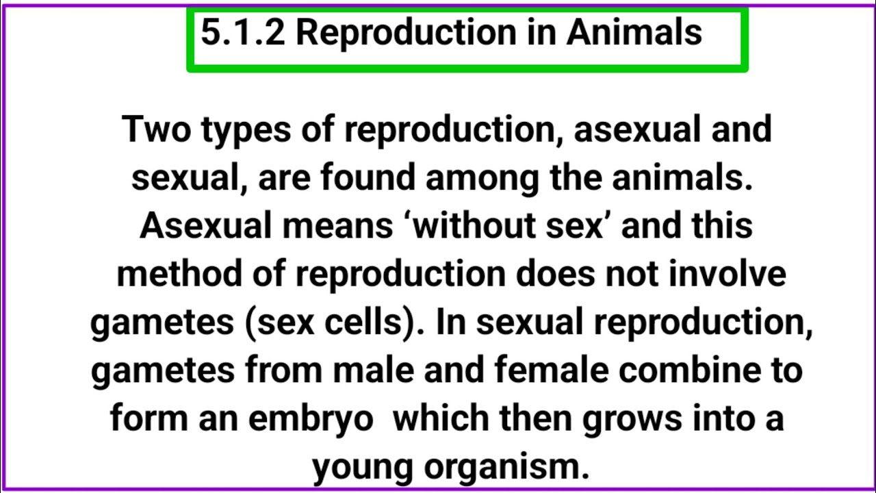 5.1.2 Reproduction in Animals | Grade 10 Biology Chapter 5 | BEACH ...