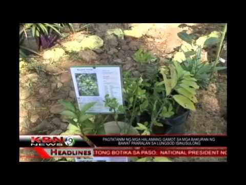 botika sa paso - YouTube