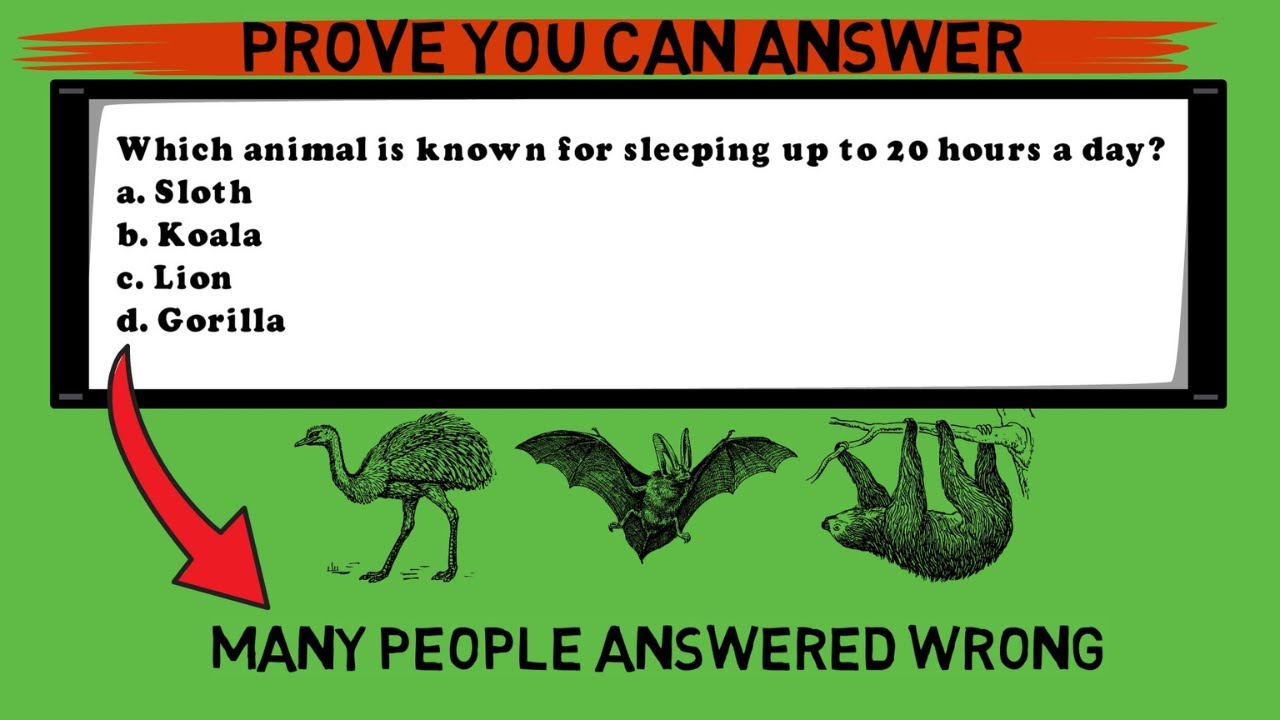 Quiz general knowledge questions and answers about animals - YouTube