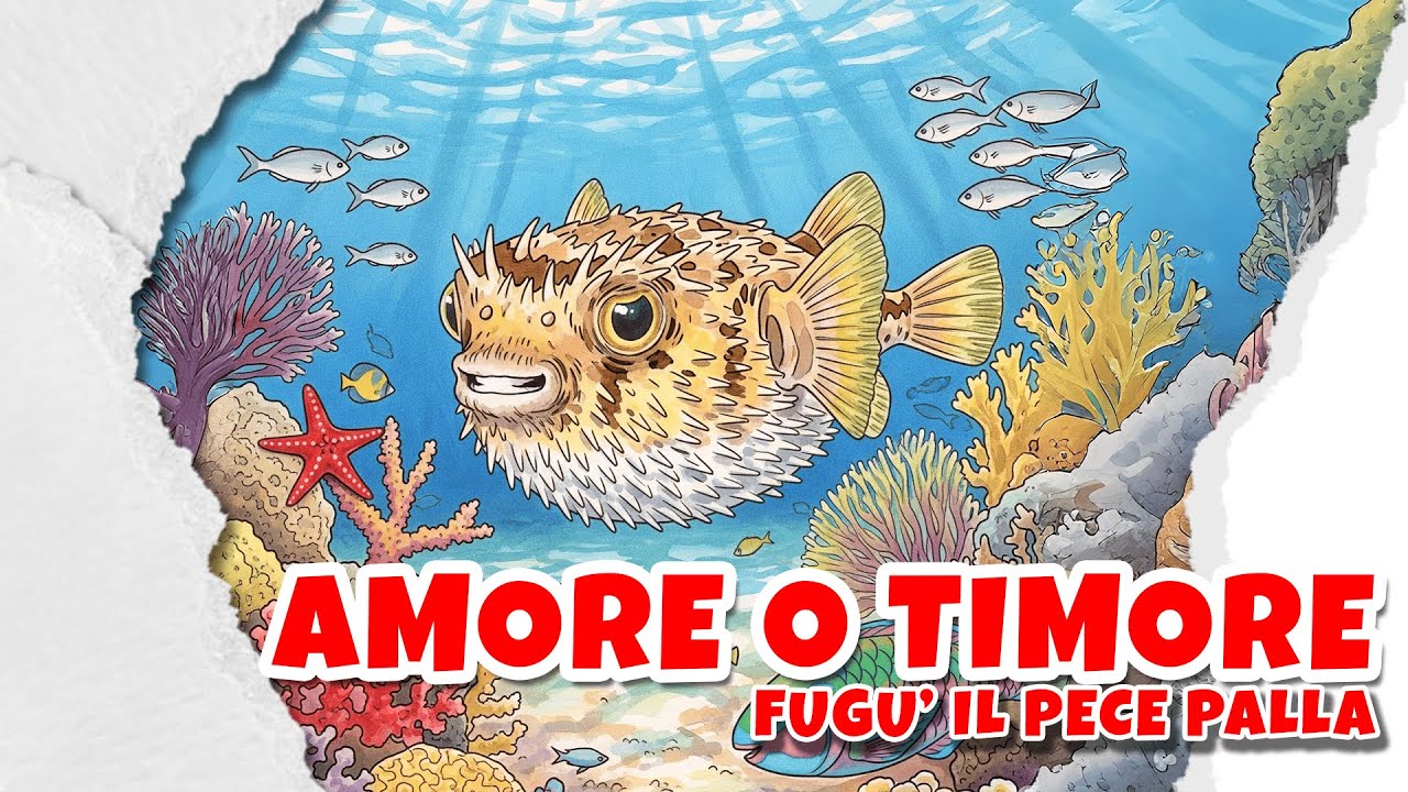 "Amore o Timore" - Fugù il pesce palla - YouTube
