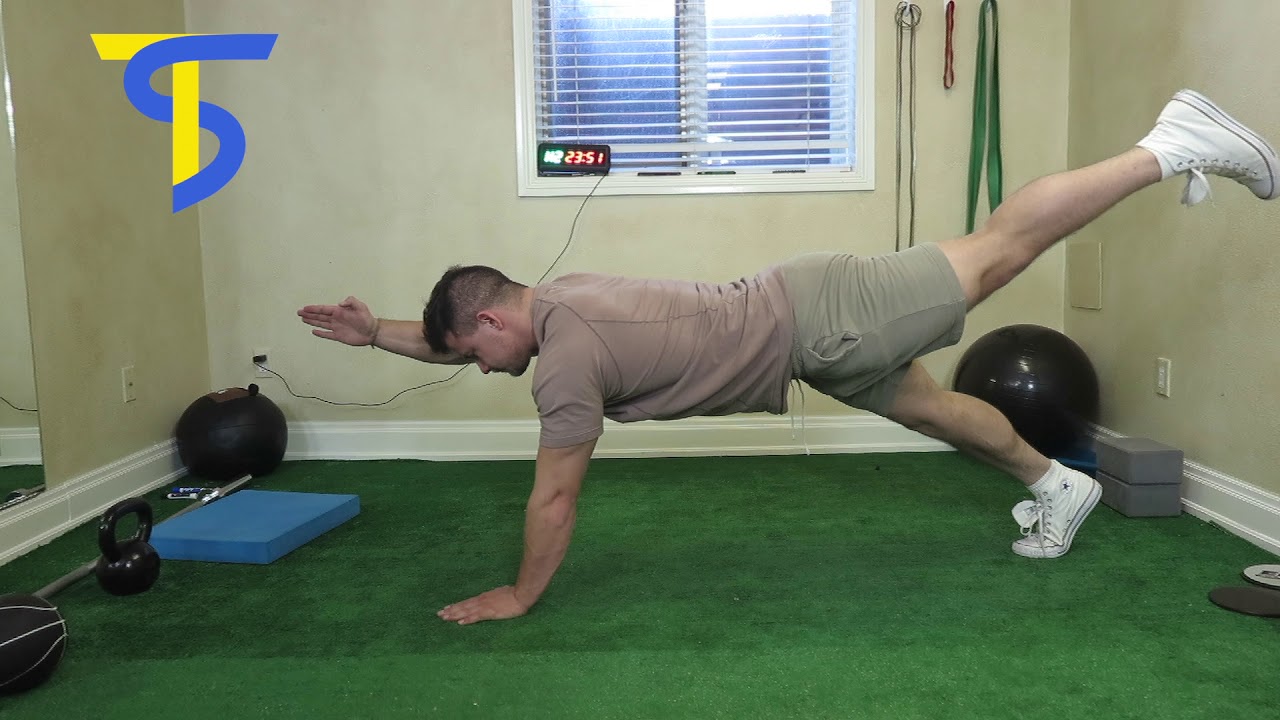 How To Do a High Plank Bird Dog - YouTube