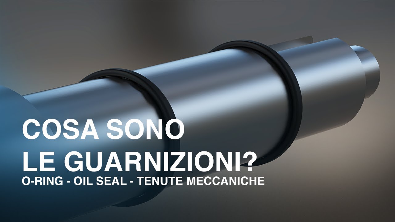 Cosa sono e come funzionano le Guarnizioni - O-ring - Oil Seal - Tenute ...