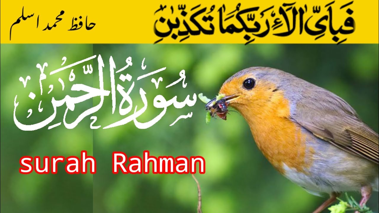 surah Rahman(Rehman) tilawat with urdu tarjuma ke sath(episode9)56 ...