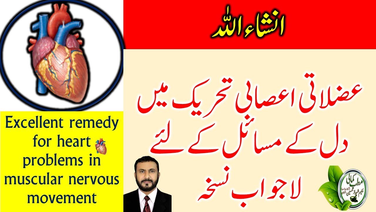 heart problem | Excellent remedy for heart problems in muscular nervous ...