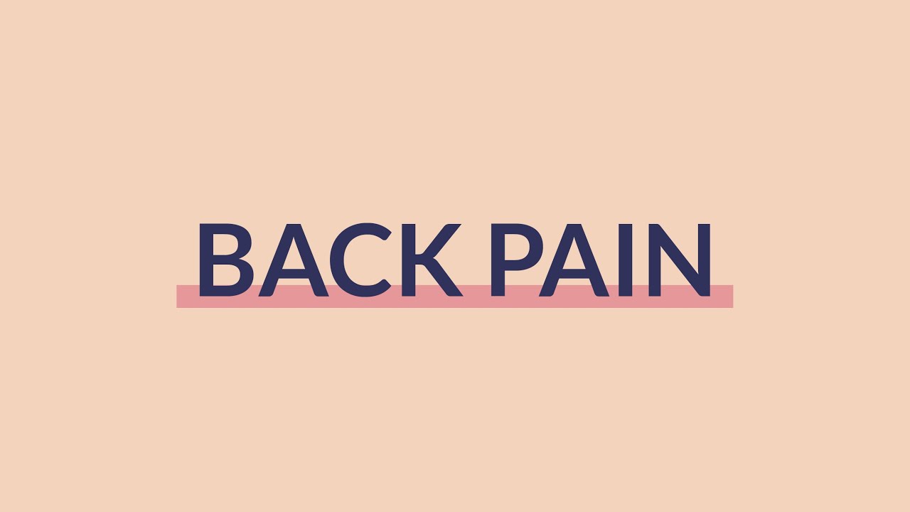 Back Pain: Sitting Stretches with Lilly Sabri | Patient Physio - YouTube