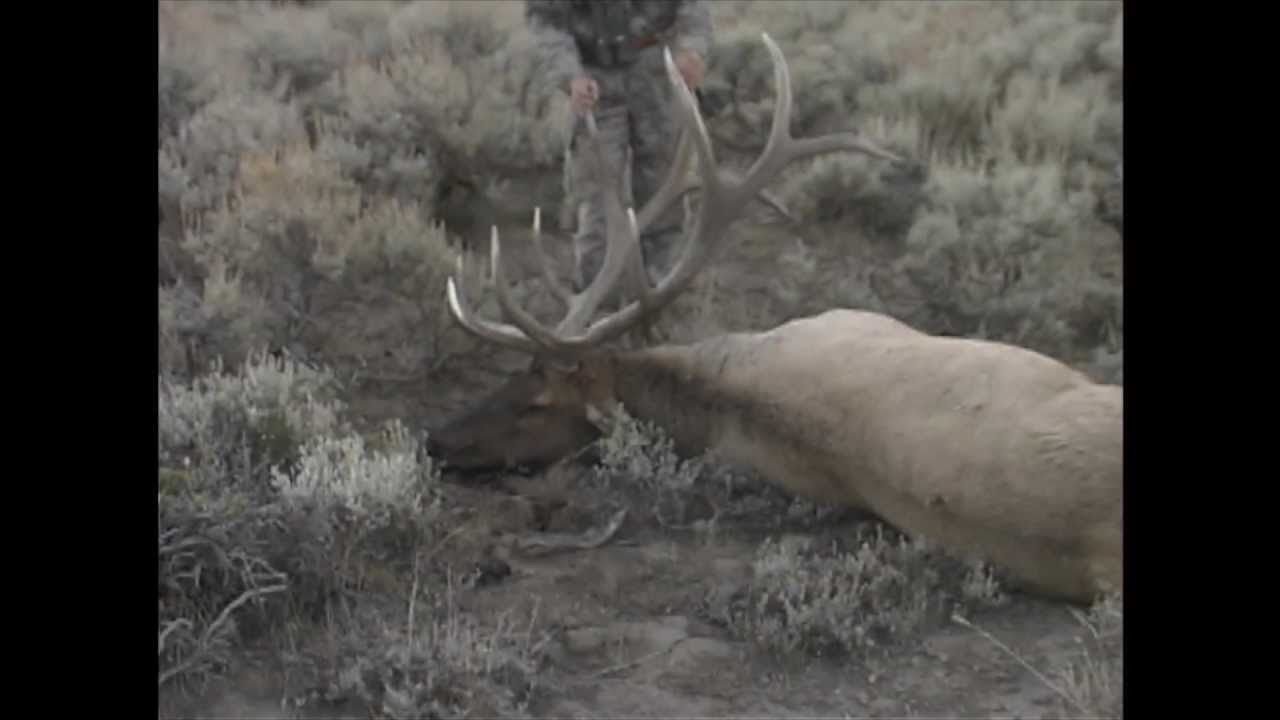 GIANT 390" B&C Utah Elk 2001 - MossBack - YouTube