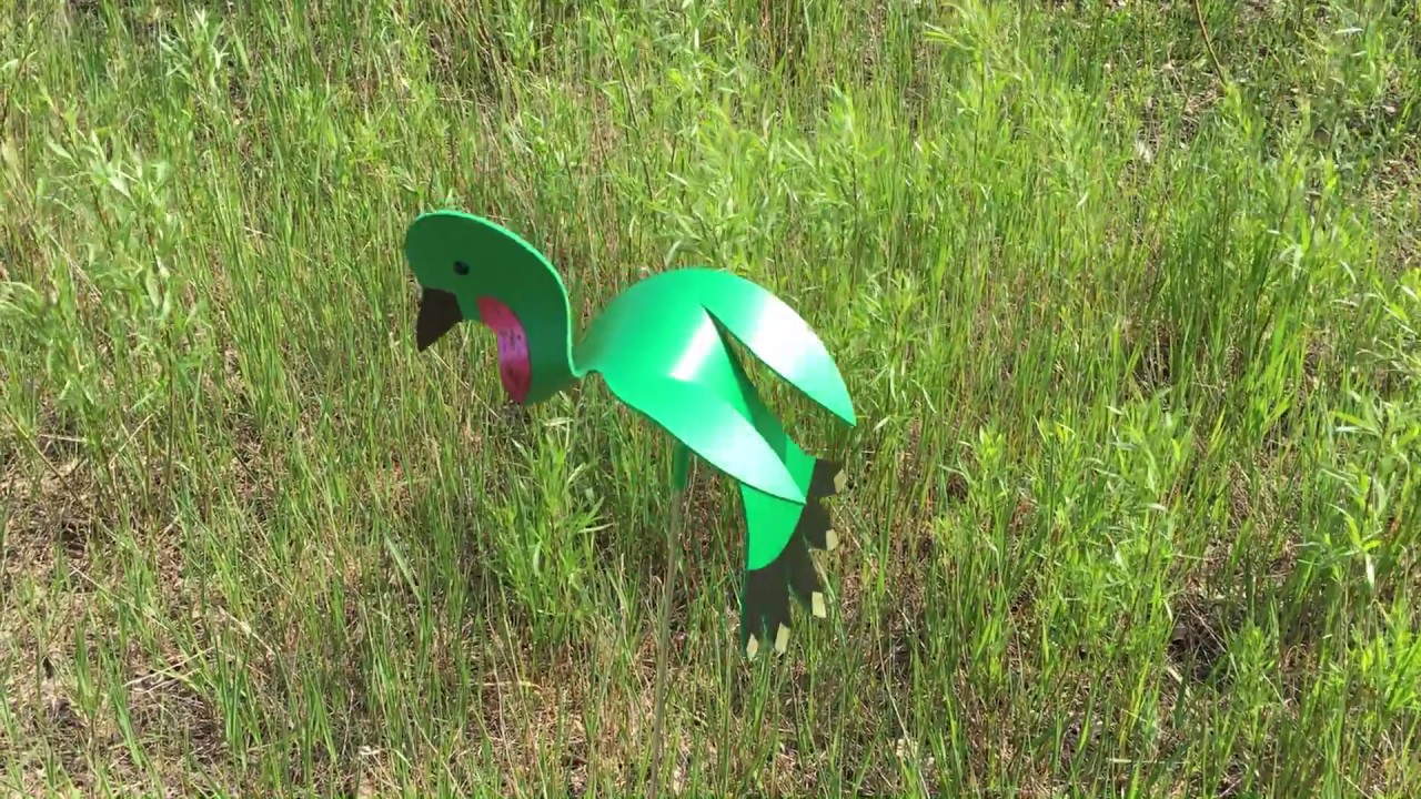 Florida Dancing Birds® Hummingbird - YouTube