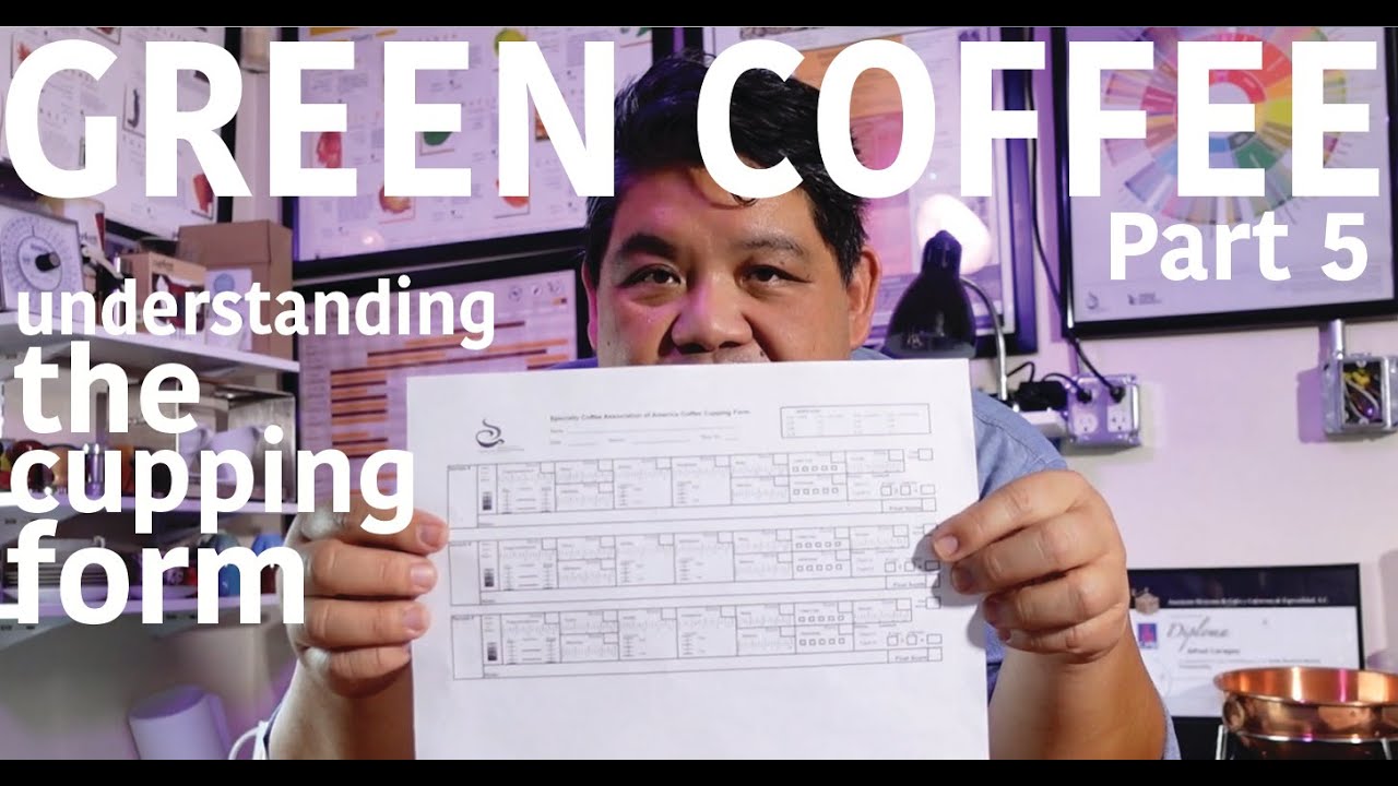 Green Coffee - Learn How to Buy & Cup Green Coffee - Part 5 ...