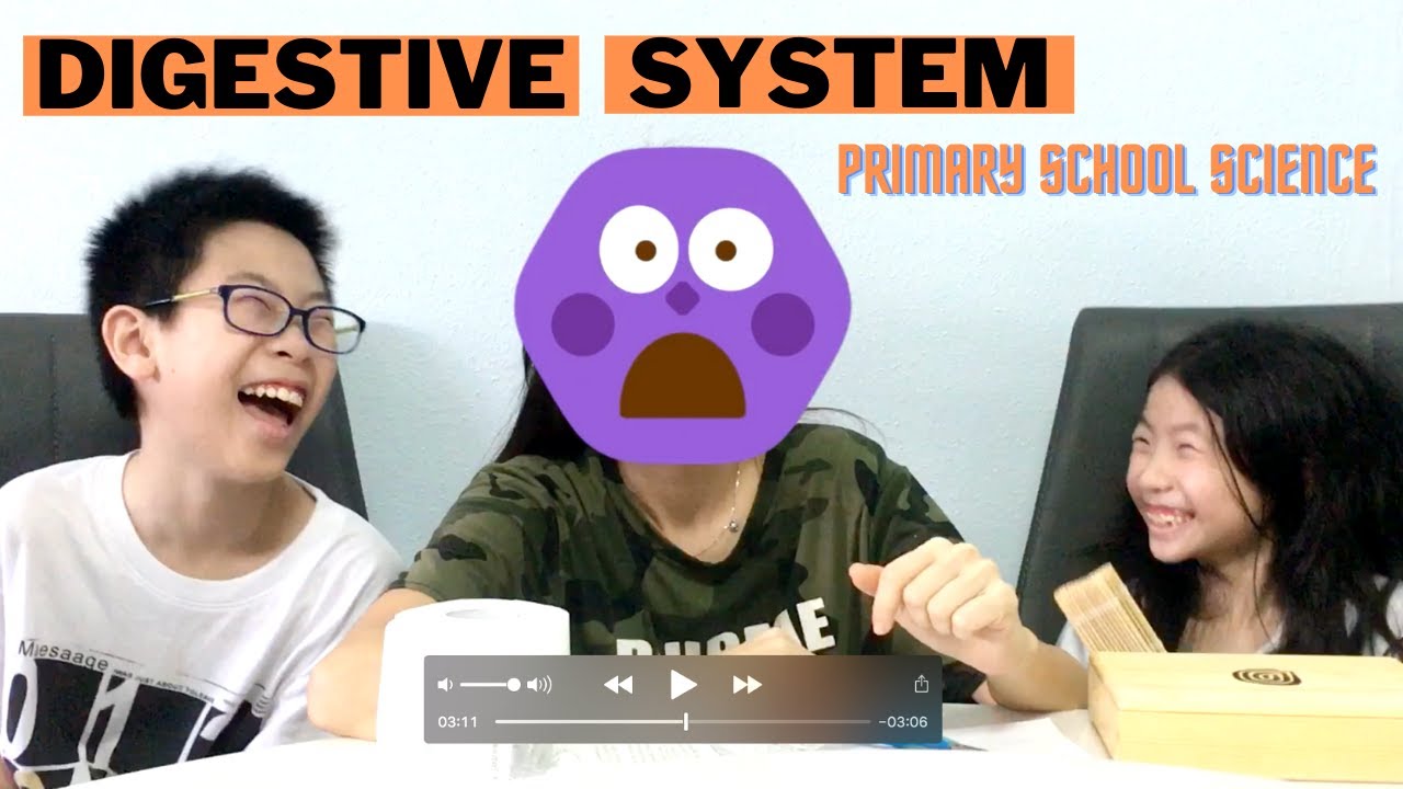 Digestive System For Primary School Science - YouTube
