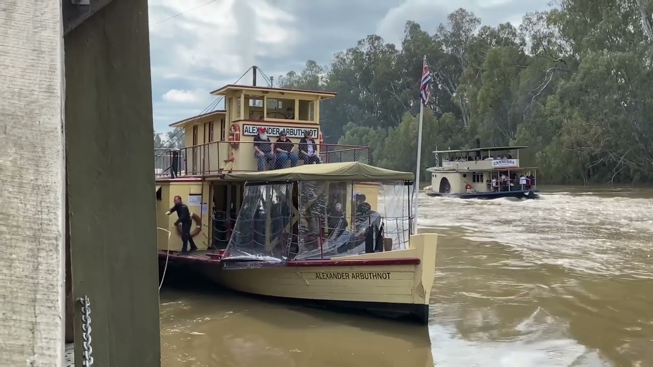 PS Canberra &PS Alexander Arbuthnot Cruising on a high Murray River at ...