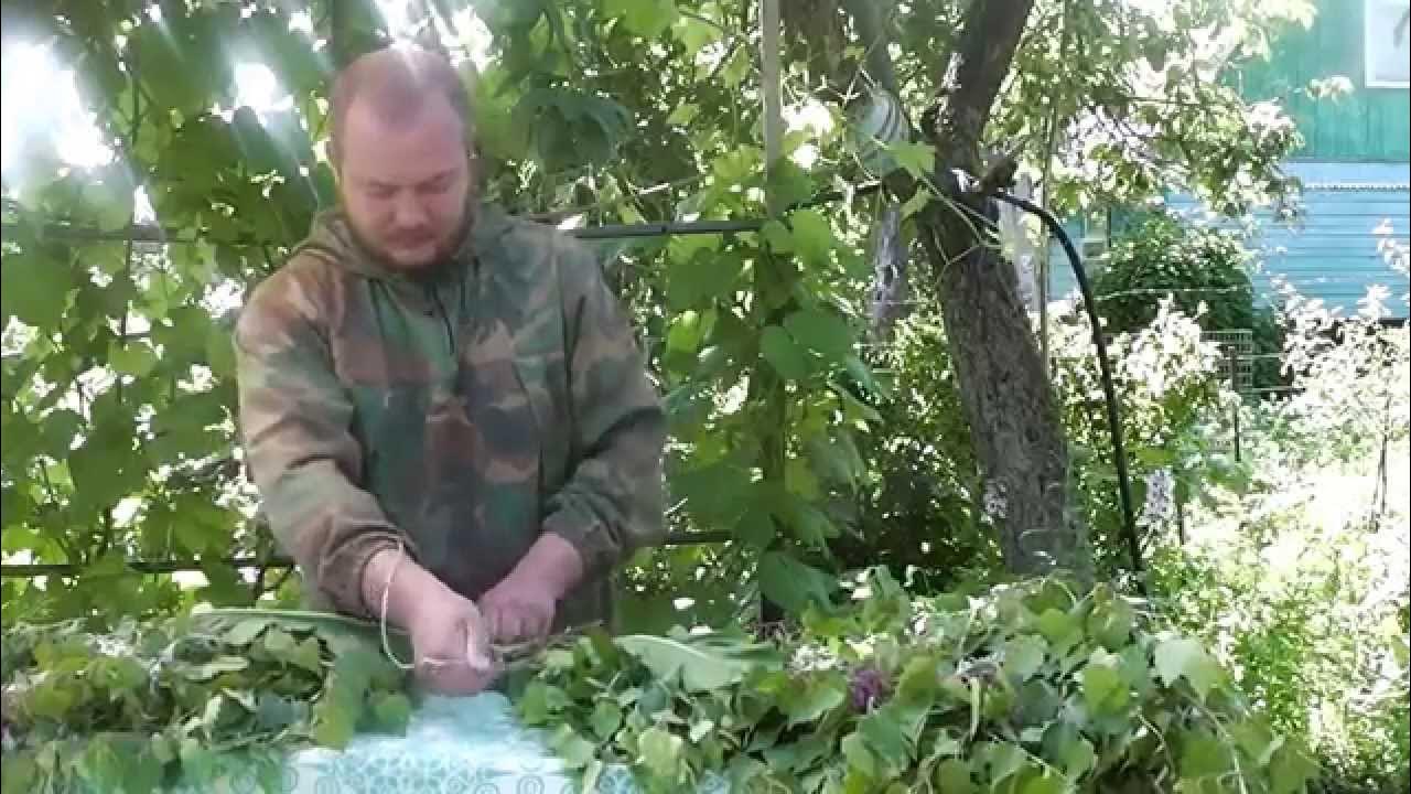 Как заготавливать березовые веники. Часть 2 - вяжем и сушим веник для ...