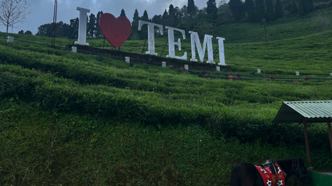 RIDE FROM YANG GANG SOUTH SIKKIM TO GANGTOK EAST SIKKIM II END OF ...