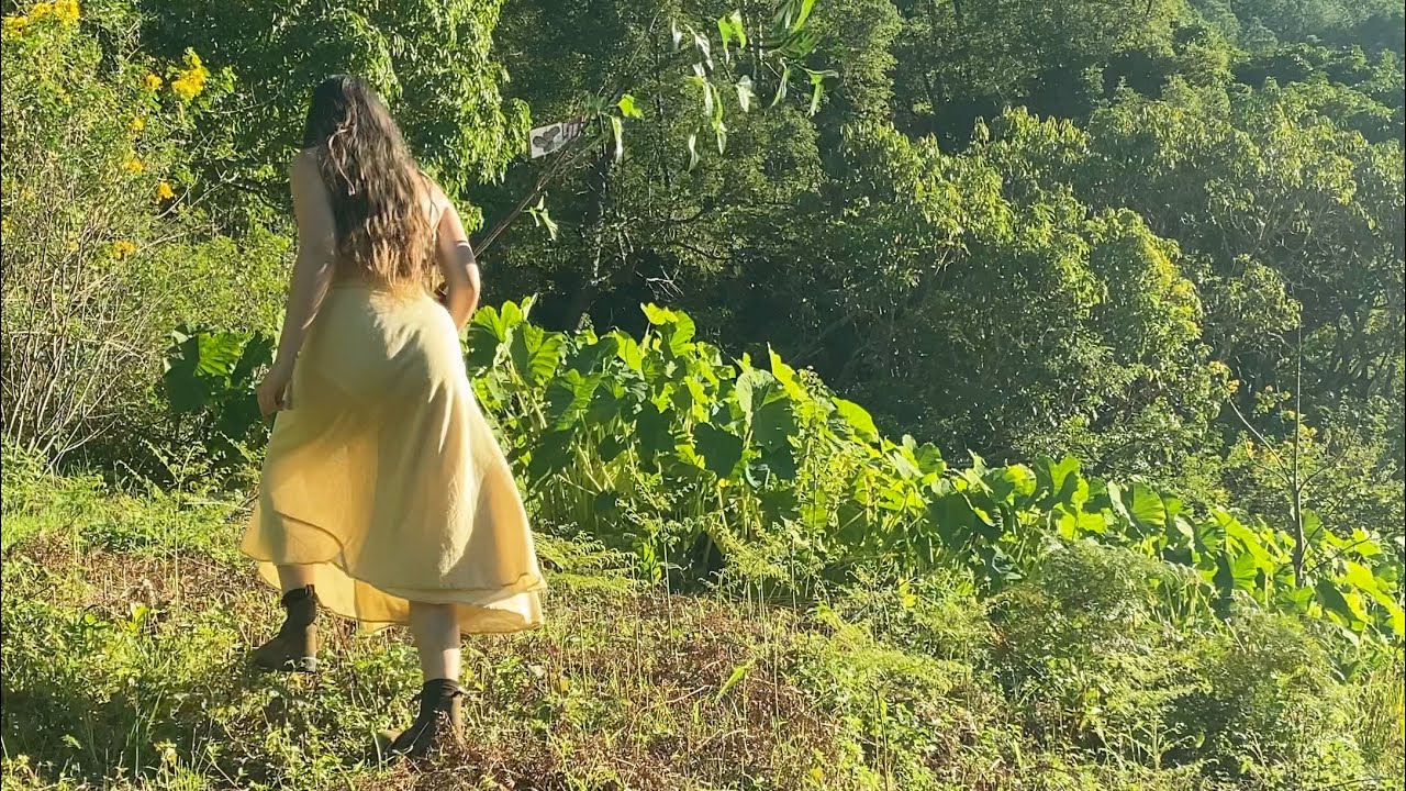 Alone and Off Grid: Building a Self Reliant Life in Nature - YouTube