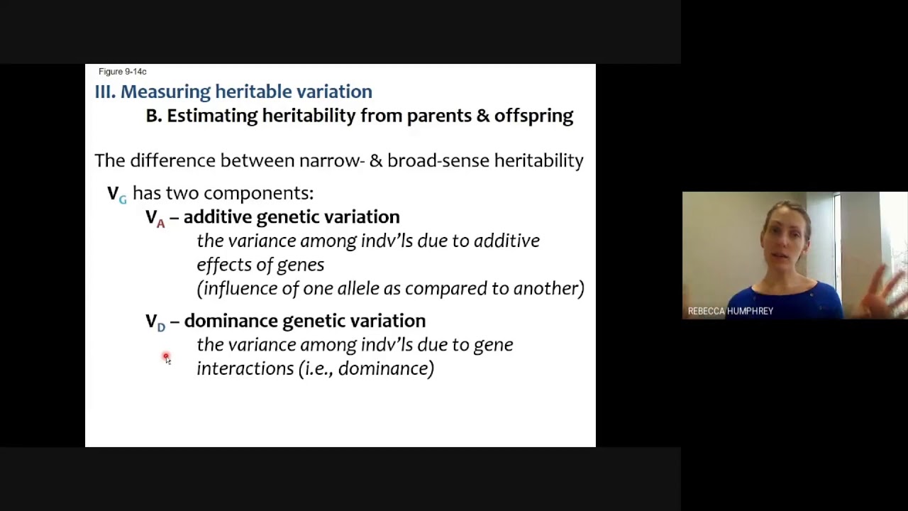 Differentiating between additive and dominance genetic variation - YouTube