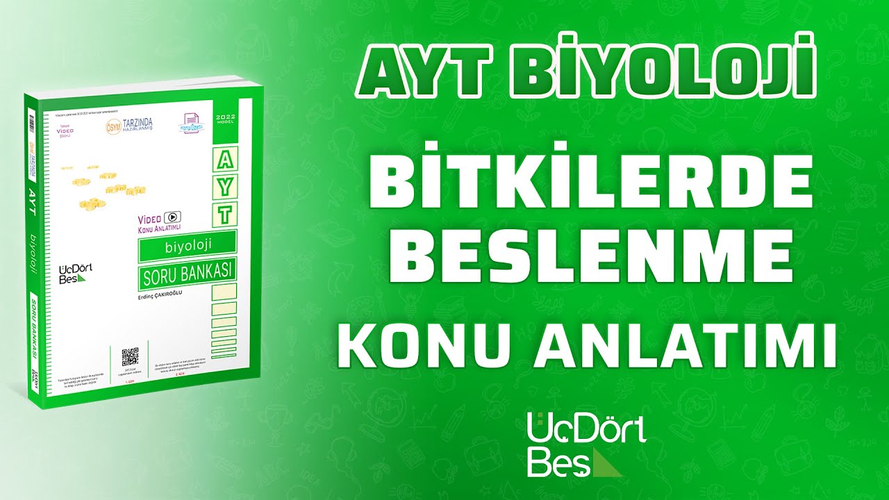 BİTKİLERDE BESLENME | 2022 AYT BİYOLOJİ | 345 YAYINLARI - YouTube
