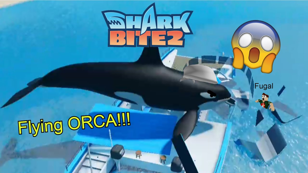 Flying Orca in Sharkbite 2!!! (Sharkbite 2) - YouTube