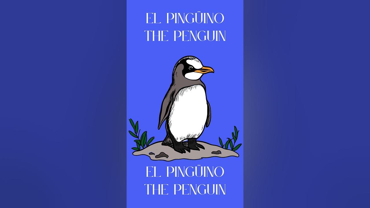 ¡Aprende a pronunciar "el pingüino" en inglés! 🎙️📢 Learn how to ...