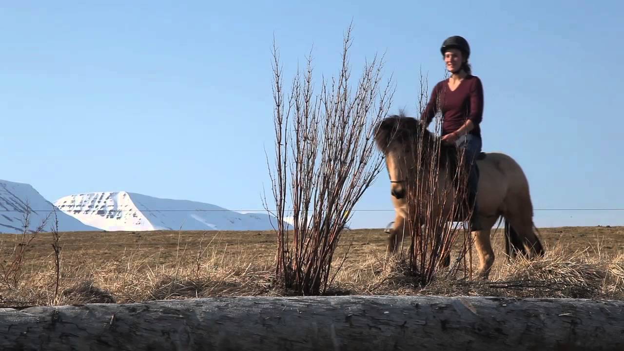 Horseback Riding - YouTube