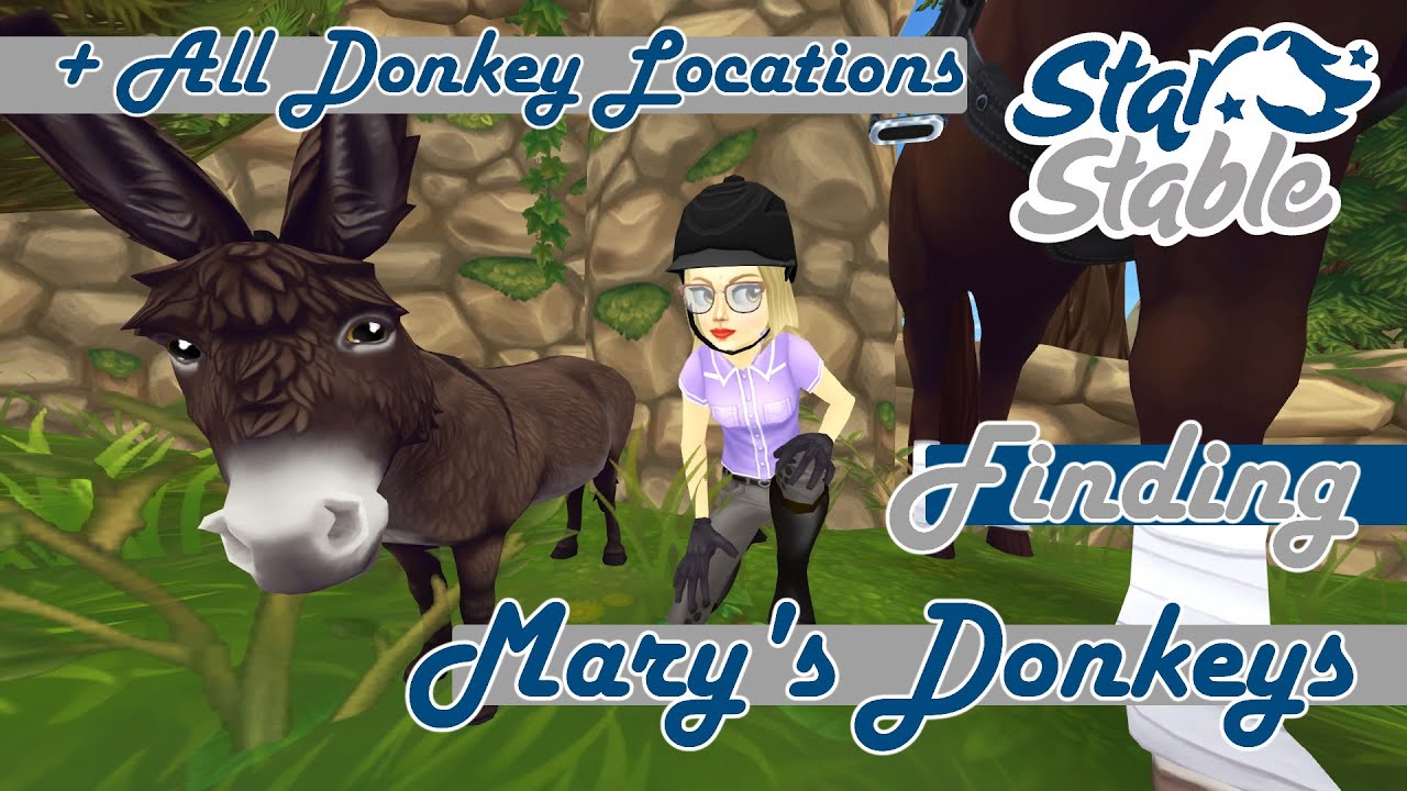 Helping Mary + All Donkey Locations | Wednesday Update Video | Star ...