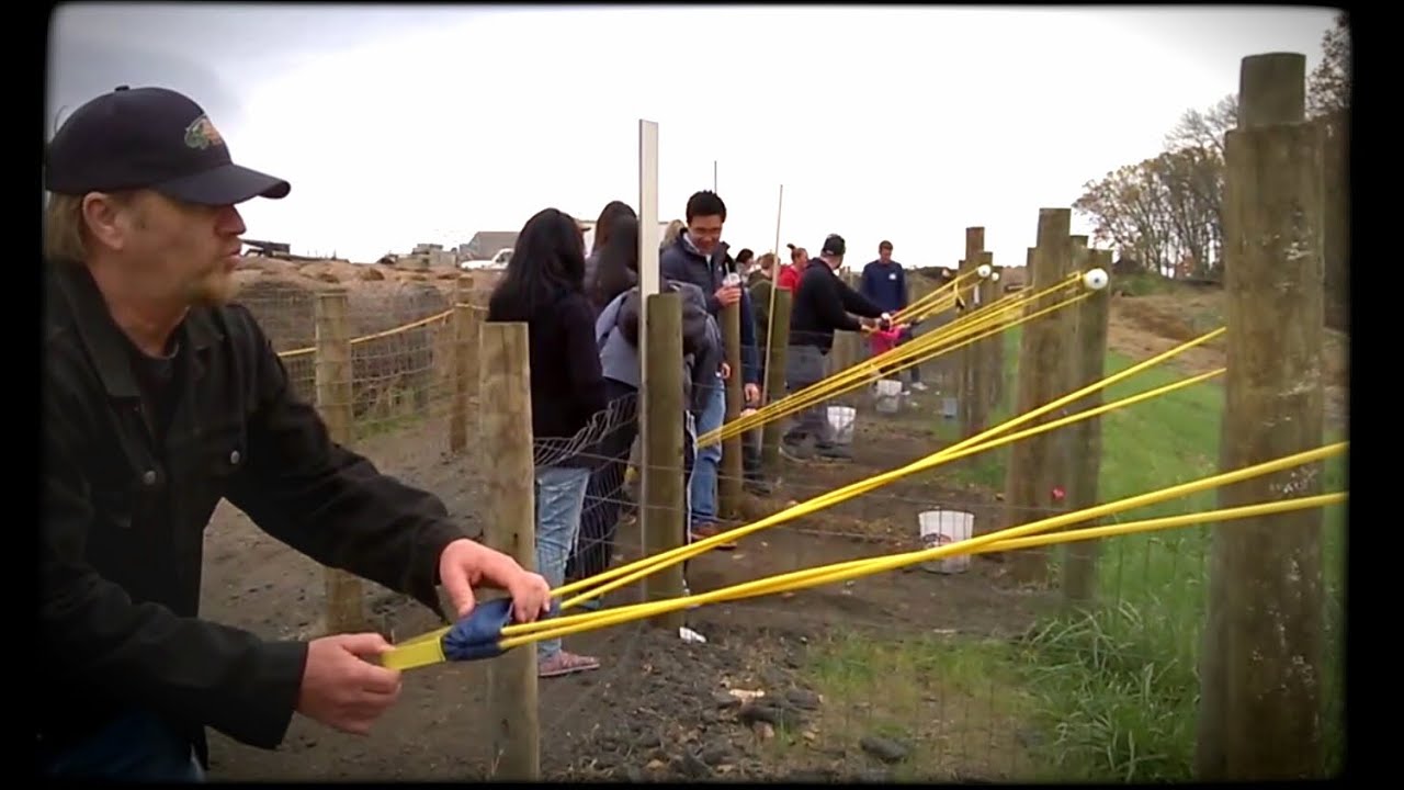 Linvilla Orchards - Apple Sling Shot - Pumpkinland - Media Pennsylvania ...