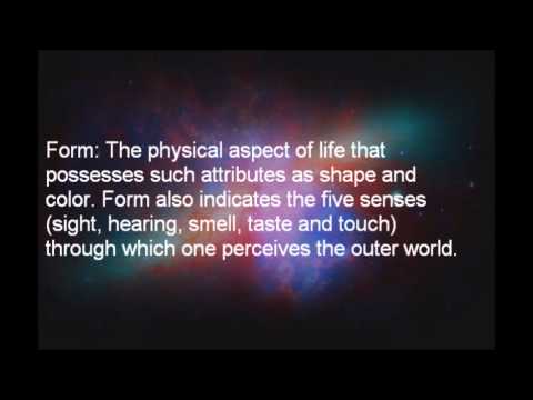 Five Components Of LIfe - YouTube
