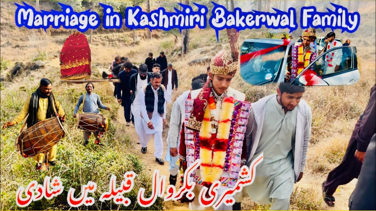Marriage in Bakerwal Qabilah || Marriage in Kashmiri Bakerwal family ...