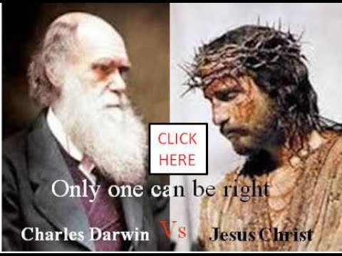 How life began Part 2 The first Adam and the last Adam. How To ...