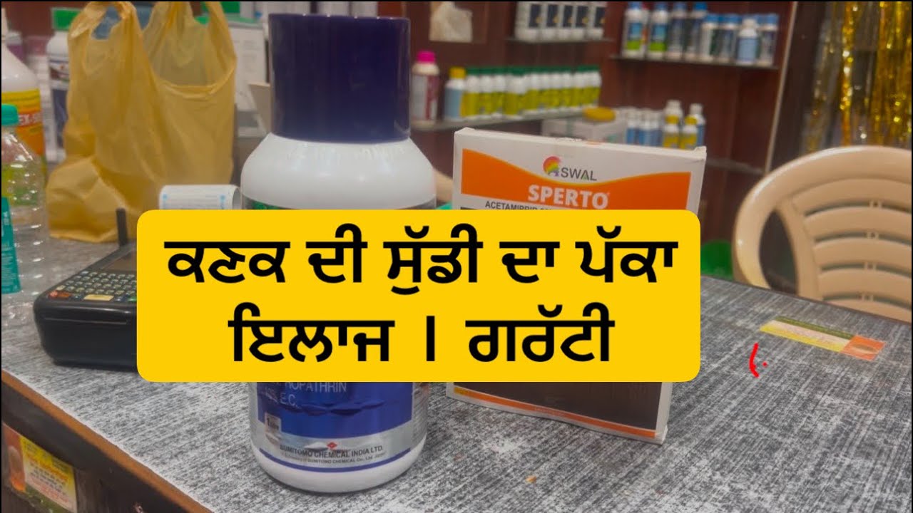 ਕਨਕ ਦੀ ਸੁੱਡੀ ਦਾ ਇਲਾਜ | wheat farming insect control #wheatfarm # ...