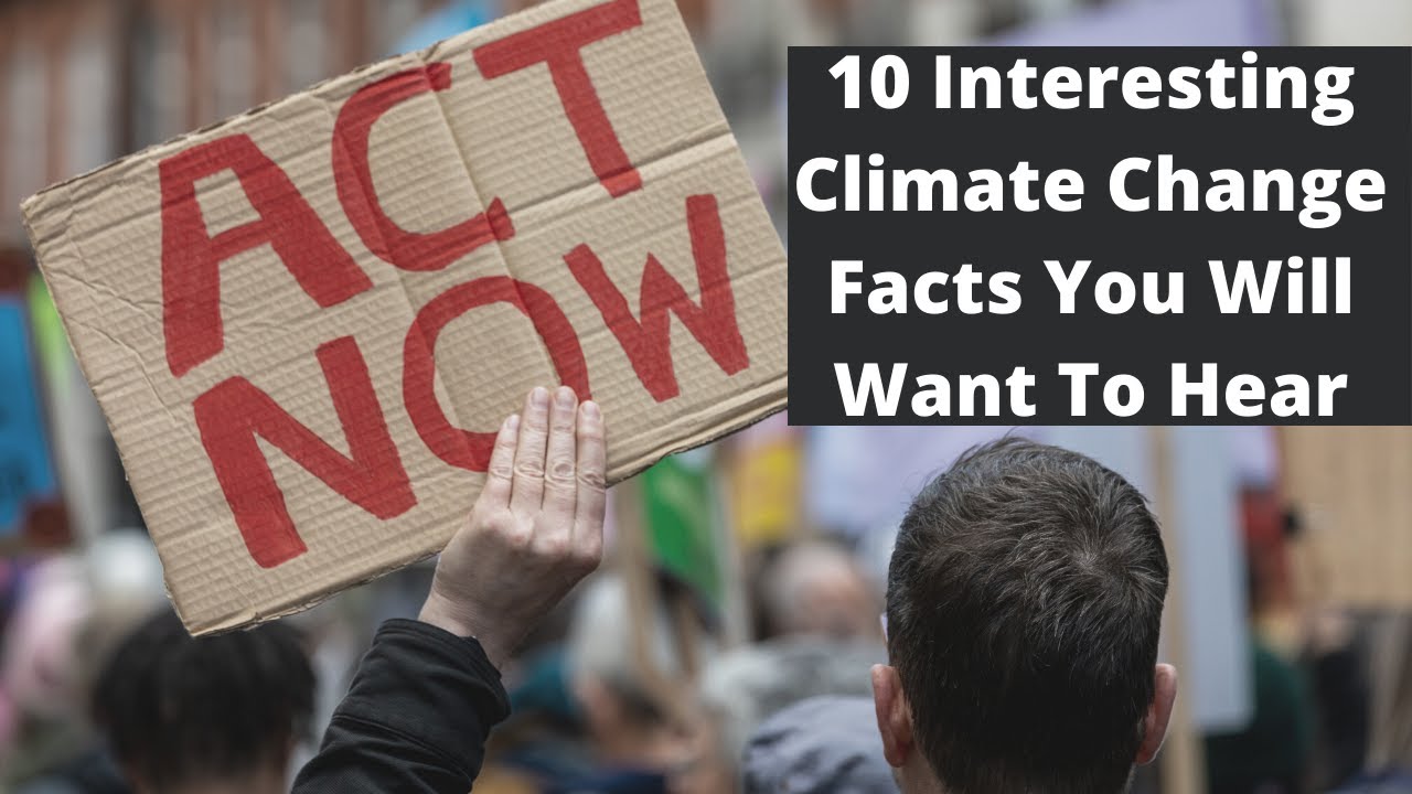 Interesting Facts About Climate Change - YouTube