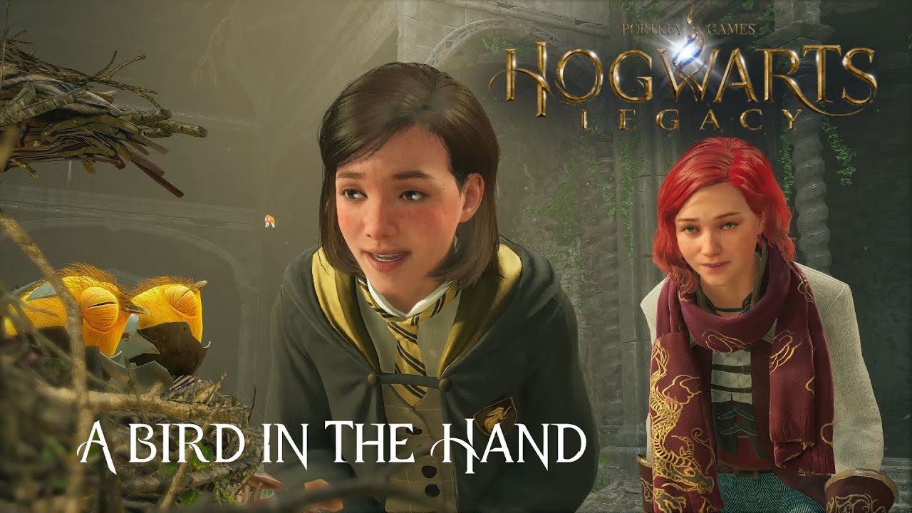 Hogwarts Legacy - Poppy Sweeting | A Bird In The Hand - YouTube