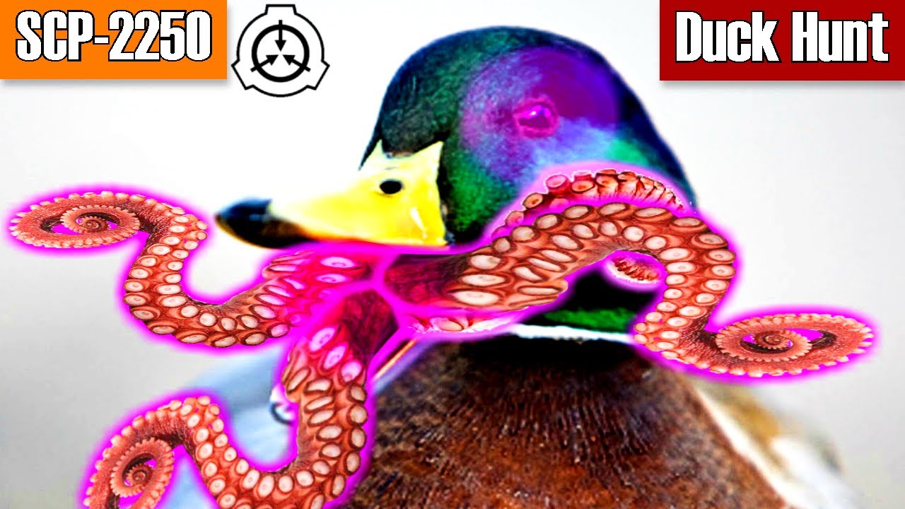 SCP-2250 Duck Hunt: Park ducks that devour dogs whole in Selma, Alabama ...