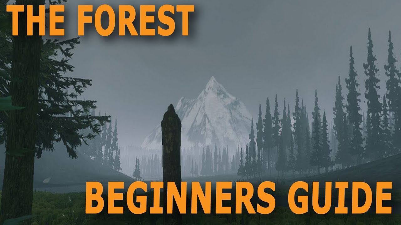 The Forest - Beginners Guide ( Food, Building, Weapons... ) - YouTube