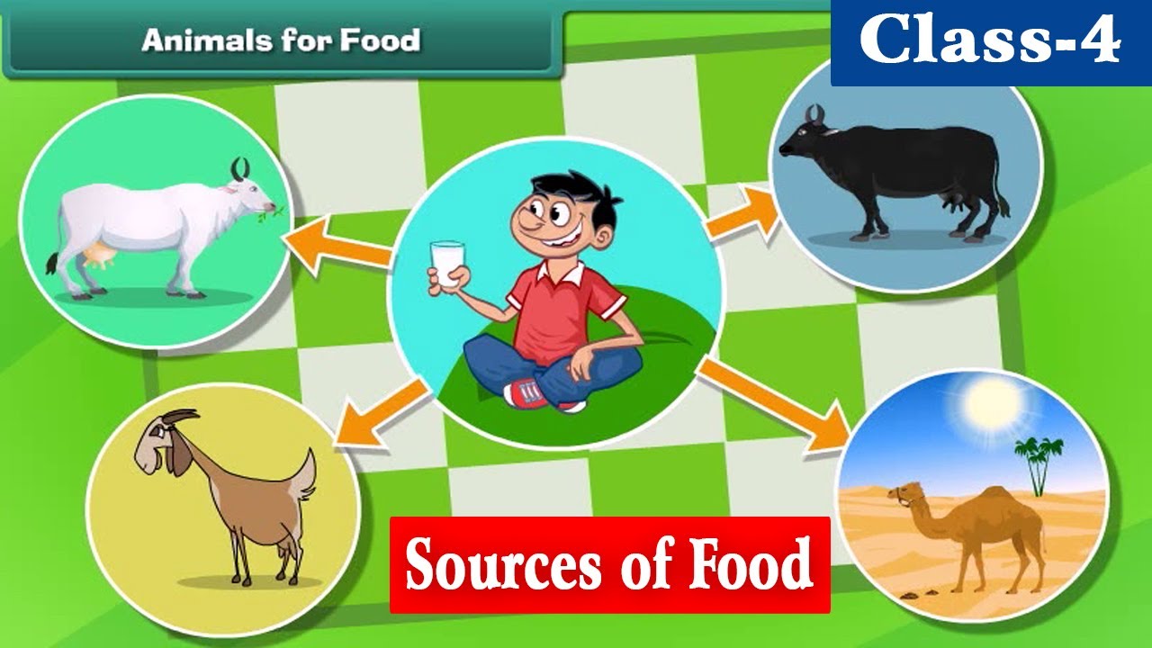 Sources of Food | Class 4 | CBSE | ICSE | FREE Tutorial | Academia Zone ...