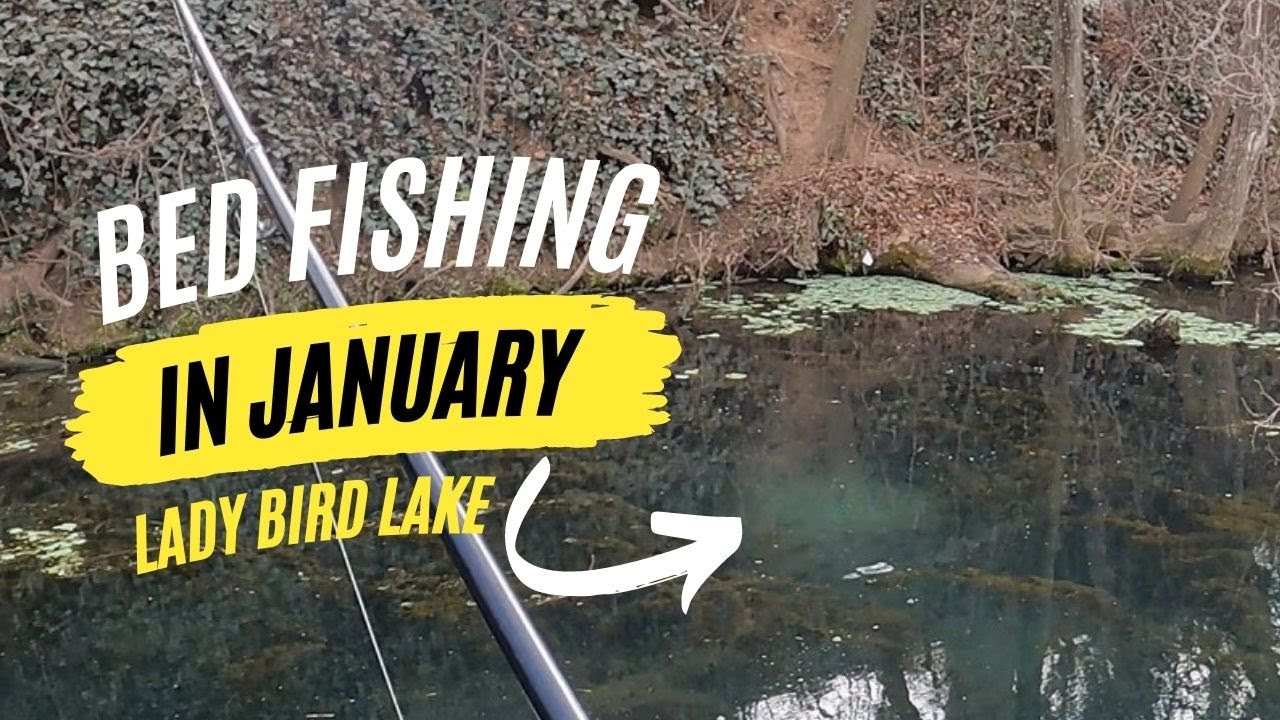 BED FISHING IN JANUARY | LADY BIRD LAKE - YouTube