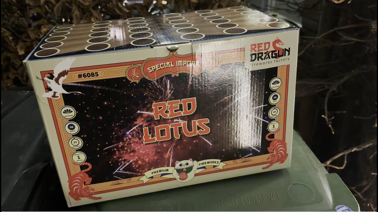 2024 2025 Red Dragon Red Lotus 36 shots 30mm - YouTube
