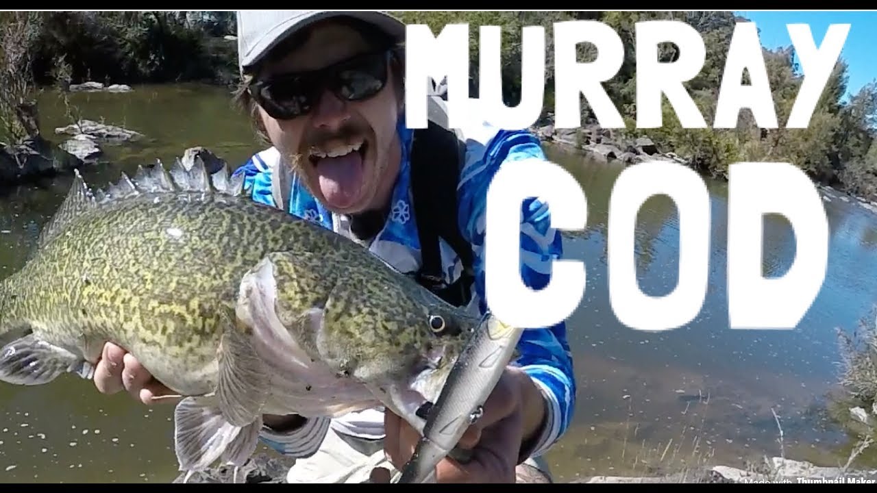 Fishing For Australian Native Fish - YouTube