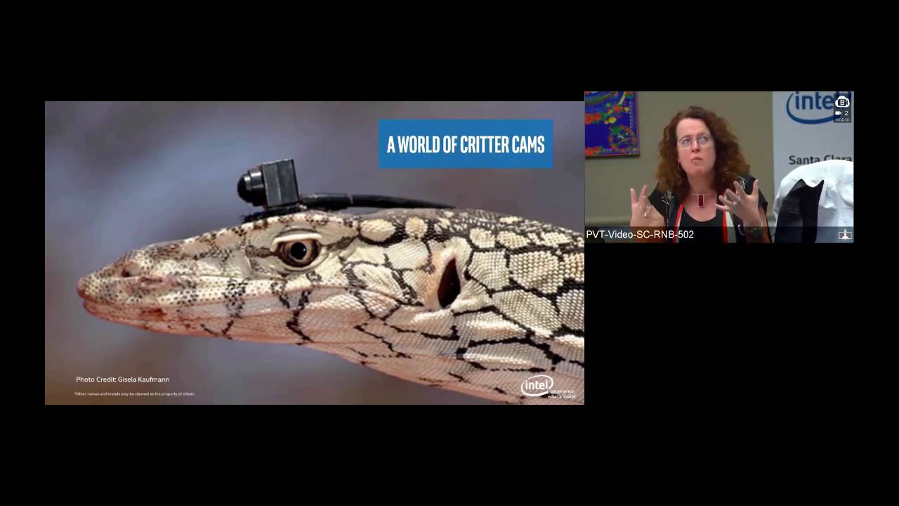 The Internet of Beings: Or, What are the Animals Telling Us? - YouTube