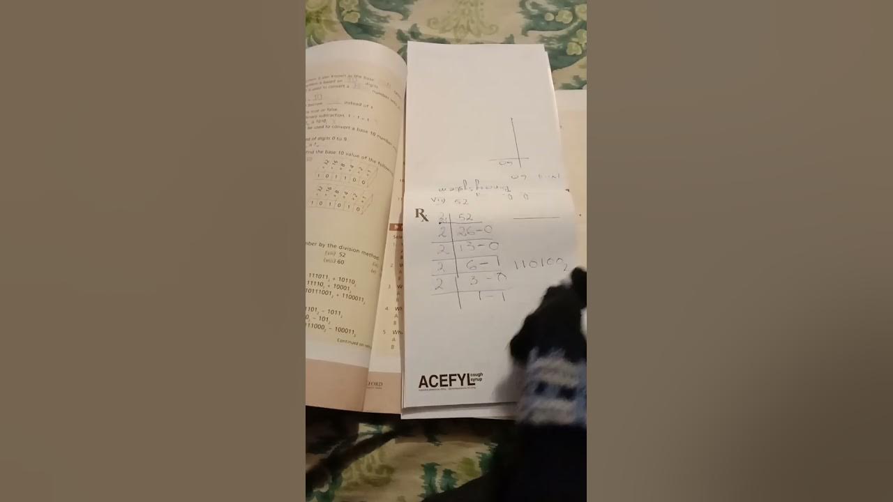 binary system.base 2.base 10.decimal system.number system.new count ...