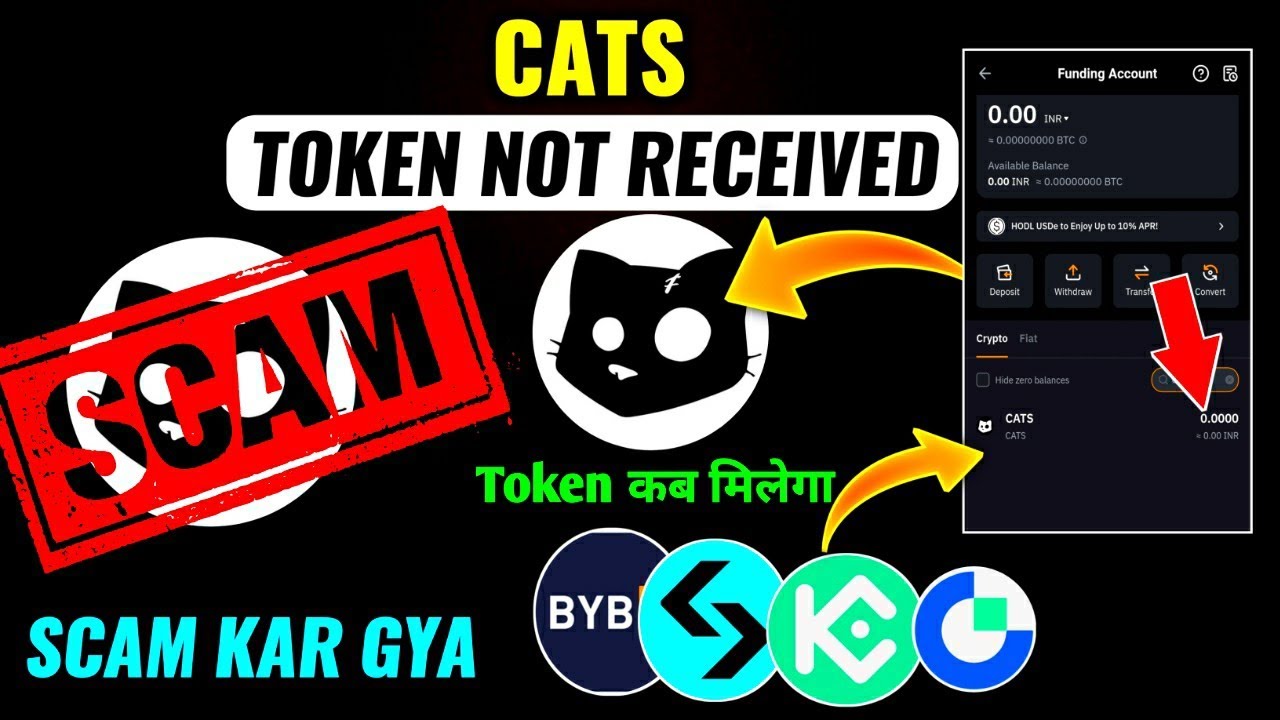 Cats Token Not Received Bybit,Bitget,Kucoin | Cats Token Today Listing Price | Cats Token ...
