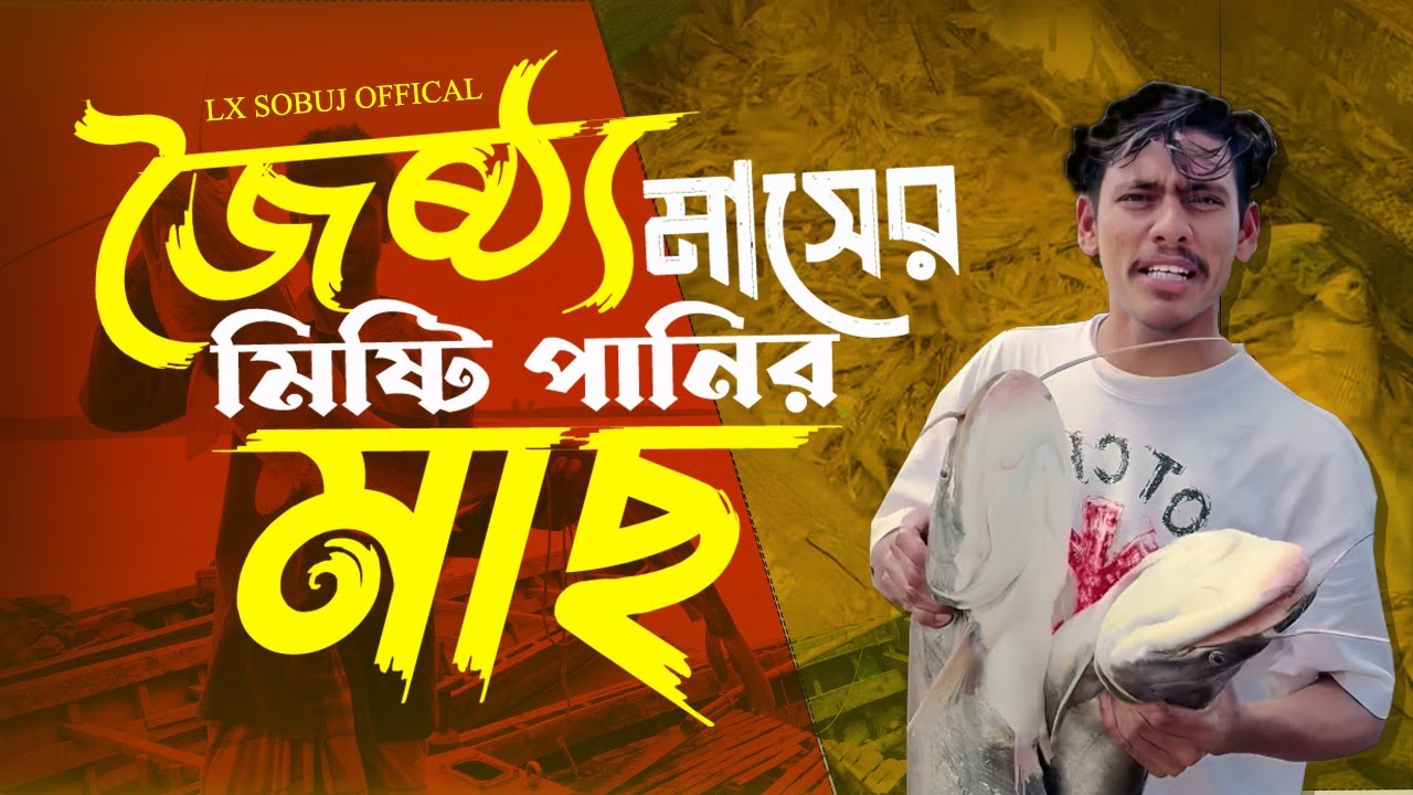 জৈষ্ঠ্য মাসের মিষ্টি পানির মাছ | Lx Sobuj New Vlogs | Lx Sobuj Official - YouTube